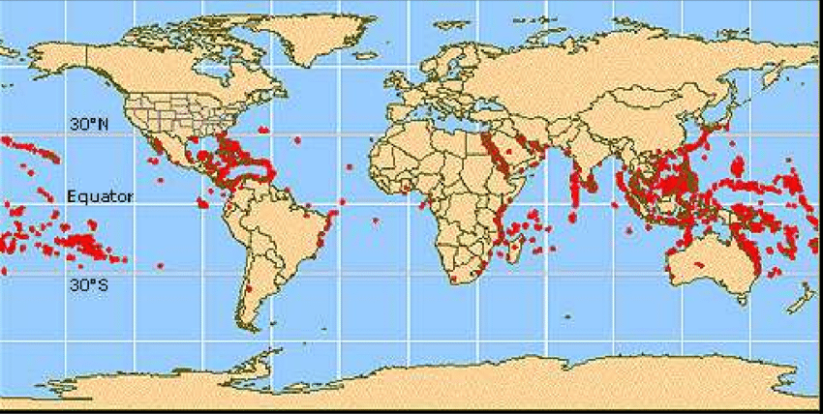 Coral and climate change